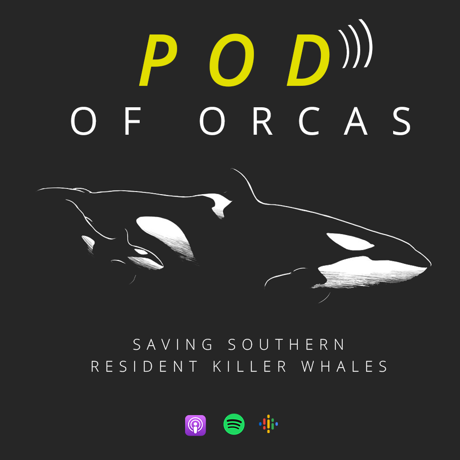 Orca Pod(cast) – Iris Graville – Author